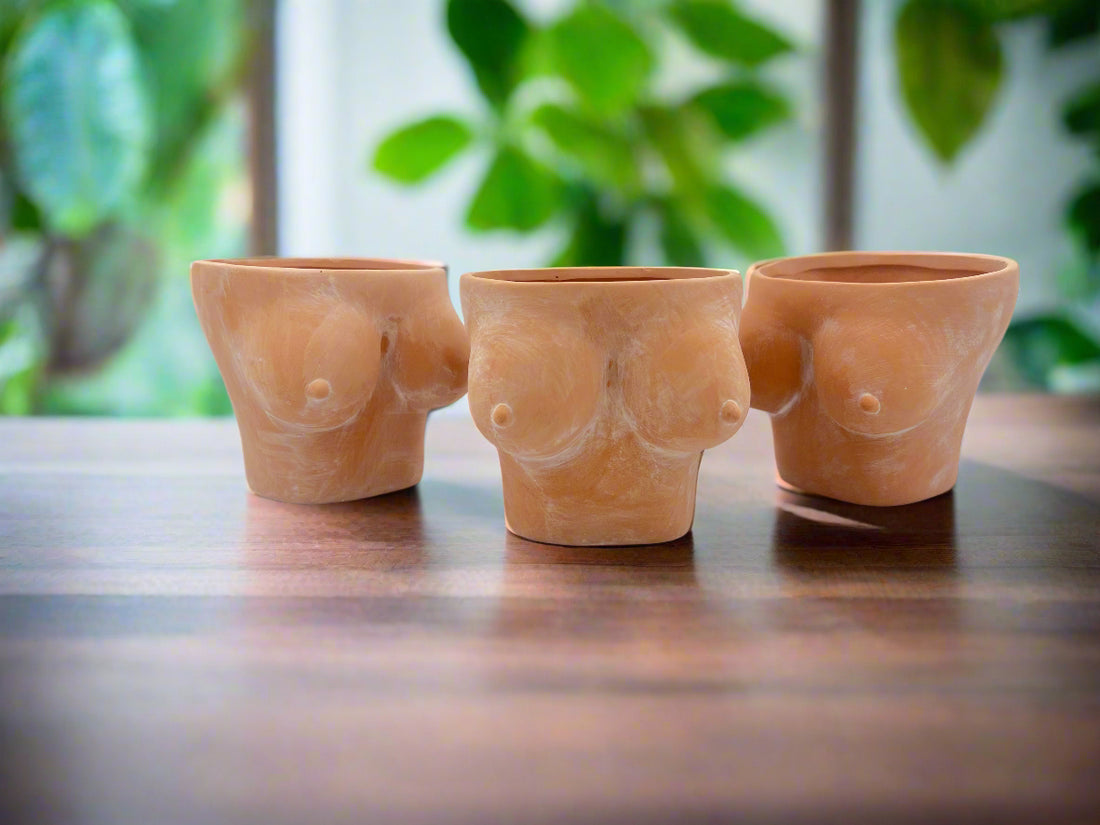 Simply Supplied Co. Clay Pots, Planters & Plant Care,Terracotta Supply
