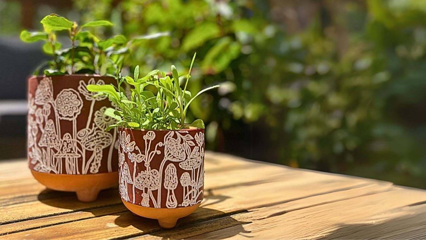 Simply Supplied Co. Clay Pots, Planters & Plant Care,Terracotta Supply